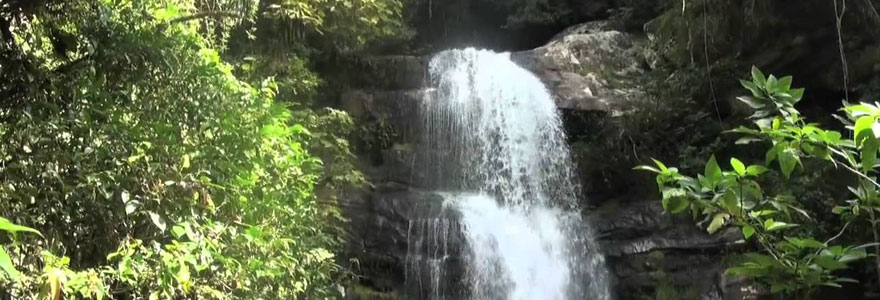 Parc National de Ranomafana